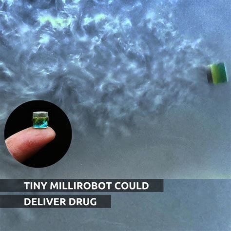 shristi gupta posted on linkedin