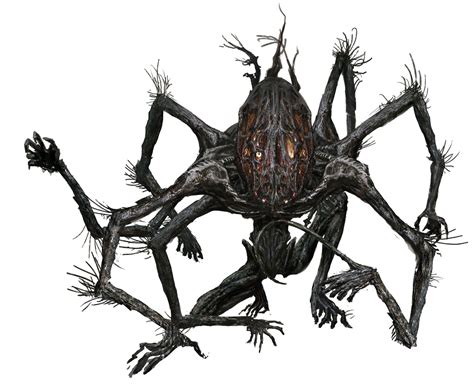 Amygdala Vs Battles Wiki Fandom