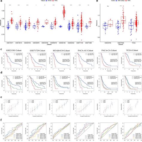 prognostic performance of the csc related gene signature in predicting