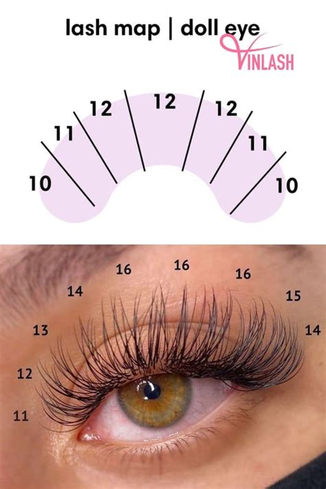 3 Things To Consider And Step To Do Doll Eye Lash Map