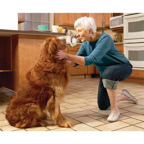 3m™ Coban™ 2 Laag Lite Compressiesysteem 10cm X 3 5m 2x1 • Medische Artikelen Sma