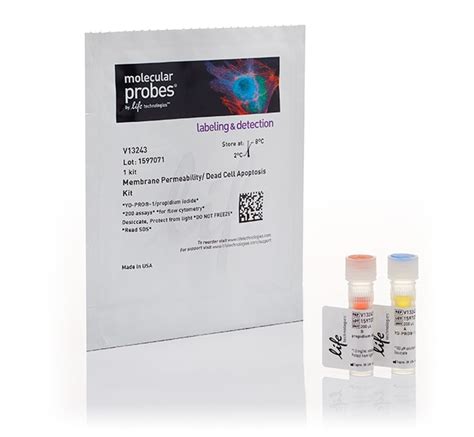 Invitrogen Vybrant Apoptosis Assay Kits For Apoptotic And Necrotic Cell