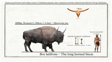 Bison Latifrons The Long Horned Bison By Themodes On Deviantart
