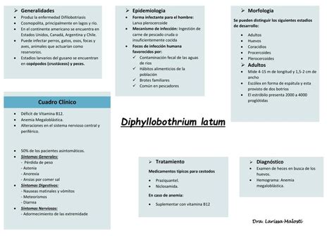 Diphyllobothrium Latum Larissa Malosti Udocz