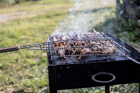 금속 꼬치에 구운 케밥 요리 바비큐에서 조리한 구운 고기 전통적인 동양 요리 쉬쉬 케밥 숯과 불꽃 피크닉 길거리 음식에 그릴