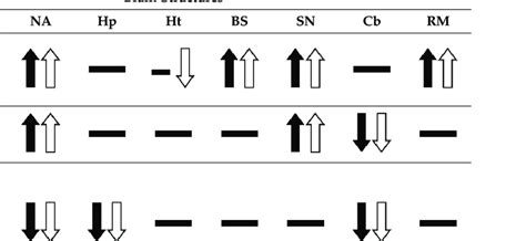 The Effects Of Novel Atypical Neuroleptic Drugs The Liver And Brain