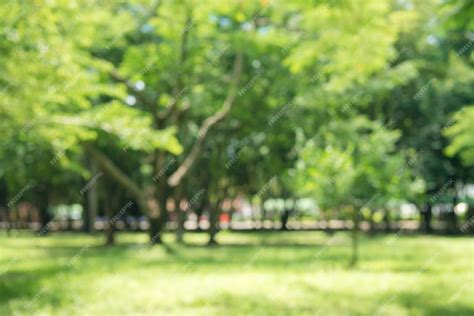 Bokeh 태양 빛 추상 배경으로 자연 녹색 공원을 흐리게 여행 모험과 환경 개념의 공간을 복사합니다 빈티지 톤 필터 색상 스타일 무료 사진