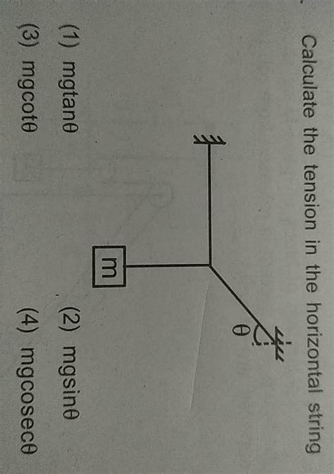 Calculate The Tension In The Horizontal String Filo