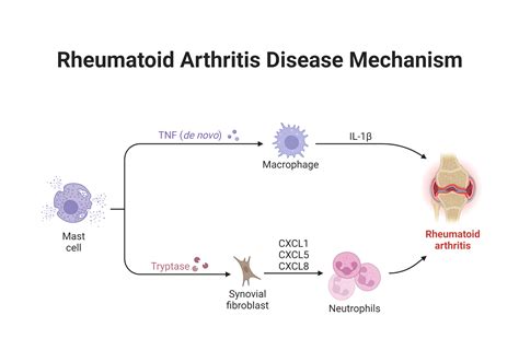 Rheumatoid Arthritis Ati Template