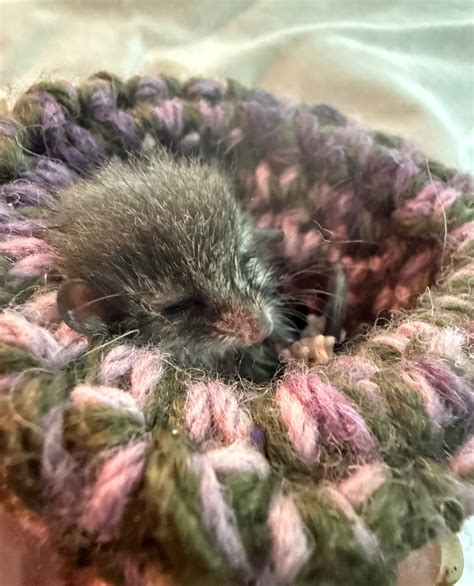 Confidential Bequest Form