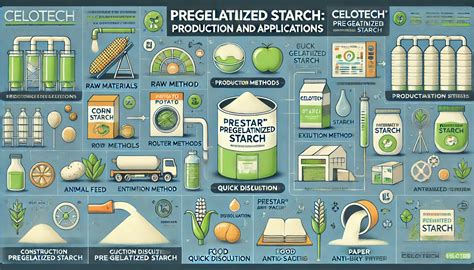 What Is Pregelatinized Starch Made Of Composition And Uses Celotech
