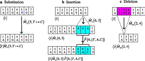Operator Representation Of Mutations A A Substitution Operator Download Scientific Diagram