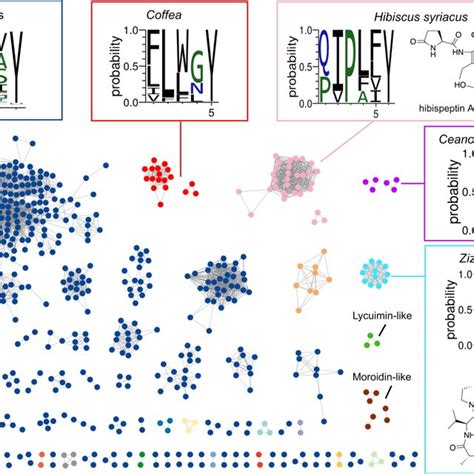 Sequence Similarity Network Of Stand Alone Precursor Peptides Using An