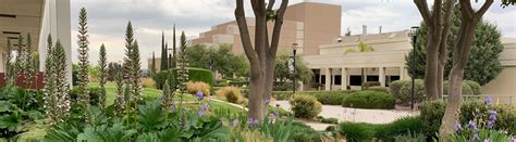 Meet Our Team Moorpark College