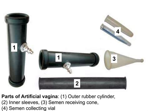 Artificial Insemination PPT
