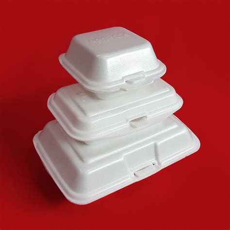 Types Of Takeaway Food Containers At George Jelks Blog