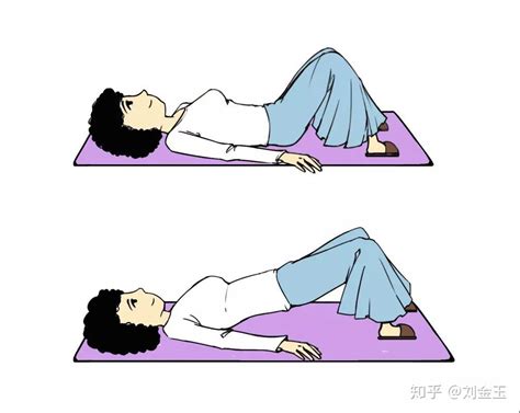 史上最完整的盆底肌锻炼攻略 知乎