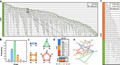 Patterning Of Intra And Inter Chromosomal Contacts A Incidence Matrix Download Scientific