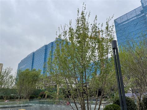 大空间大梦想，2024年10月淄博张店区8000 9000元㎡的这些楼盘你价有所值！ 淄博房天下