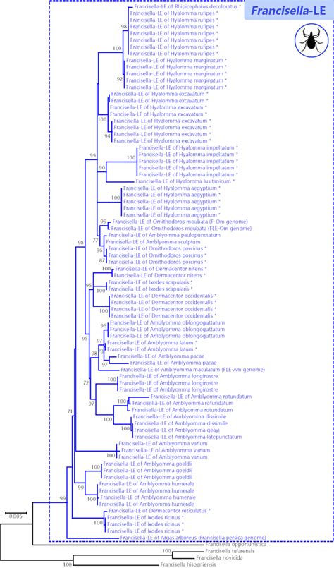 Francisella Phylogenetic Tree Constructed Using Maximum Likelihood Ml