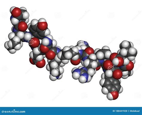 Neurotensin Neurotransmitter Peptide Q1e Mutated 3d Rendering Based On Protein Data Bank