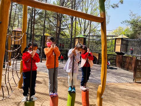 새벗유치원 환경과 자연을 존중하는 숲 체험 놀이 한청타임즈