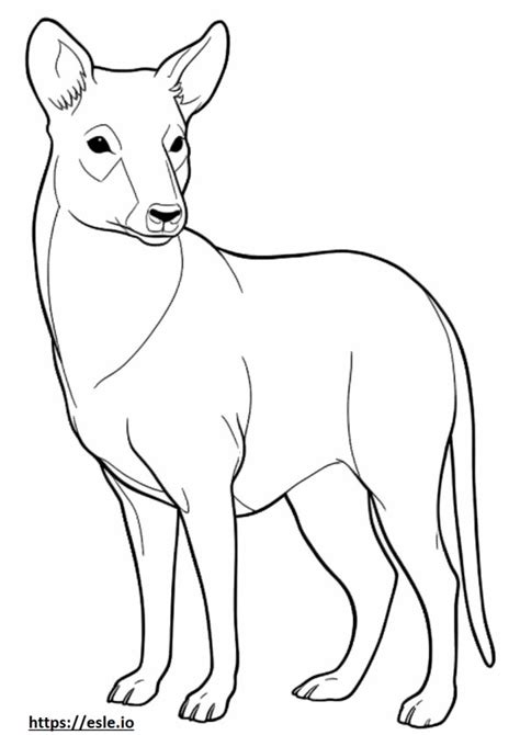 Burmese Coloring Pages Free Printable