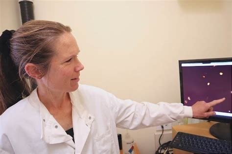 Grant Awarded For Otago Biochemistry Research Into Breast Cancer