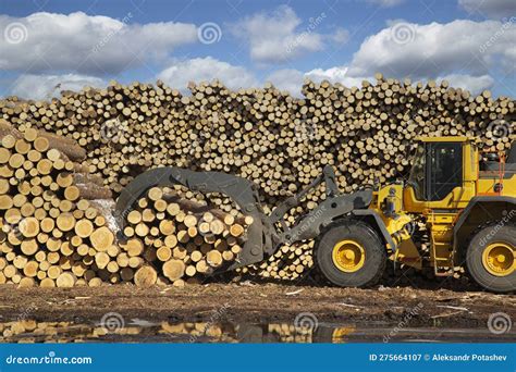 Loading Logs With A Special Loader Timber Products Warehouse On A Specialized Site Stock Image