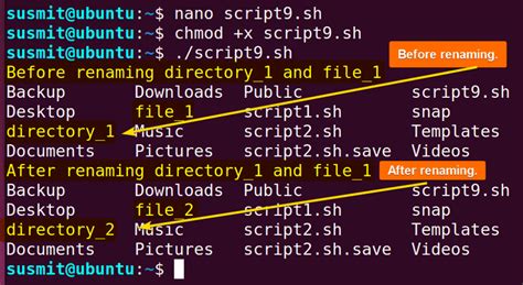 Bash File Manipulation Examples 10 Included Linuxsimply