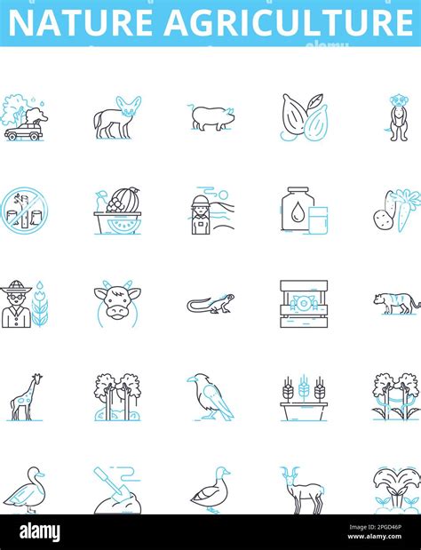 Nature Agriculture Vector Line Icons Set Farming Agriculture Nature Crops Irrigation