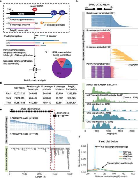 Single Molecule Nascent Rna Sequencing Flep Seq Captures Various Download Scientific Diagram