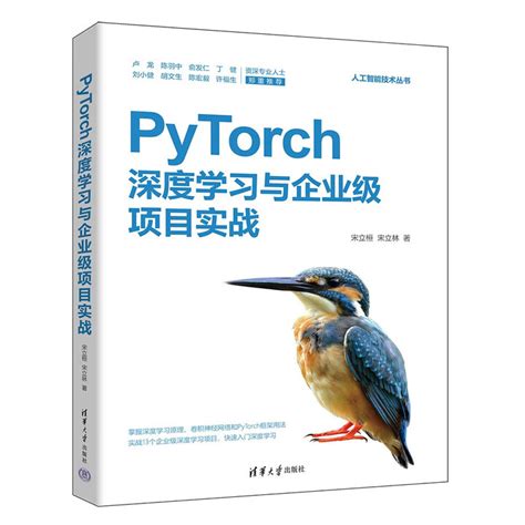 《pytorch深度学习与企业级项目实战（人工智能技术丛书）》宋立桓，宋立林【摘要 书评 试读】 京东图书