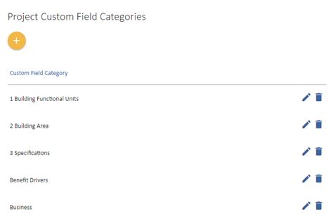 13 Create Project Custom Fields