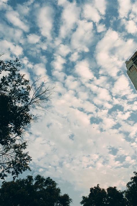 Newbeginnings Linkedinjourney Artlover Creativity Yashasvi Agrawal