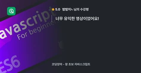 밤밤지ㄴ의 생생한 수강후기 왕 초보 자바스크립트 강의 인프런 수강평