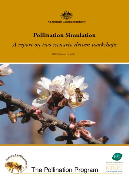 Pollination Simulation A Report On Two Scenario Driven Workshops Agrifutures Australia