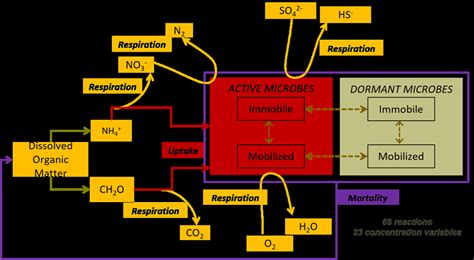 Schematic Representation Of The Simulated Biochemical Reaction Network