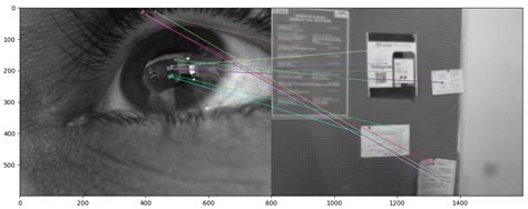 Sensors Free Full Text Calibration Free Mobile Eye Tracking Using Corneal Imaging