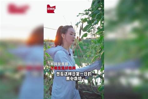 48岁王艳农场摘菜穿雨靴提篮子全副武装动作不麻利被质疑作秀 雨靴 篮子 王艳
