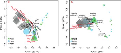 Principal Coordinate Analysis Pcoa And Permutational Analysis Of Download Scientific
