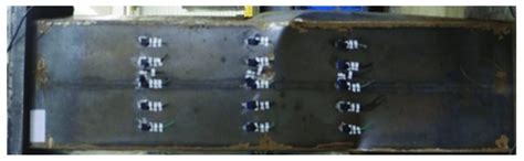 Buckling Failure Of The Specimen Download Scientific Diagram