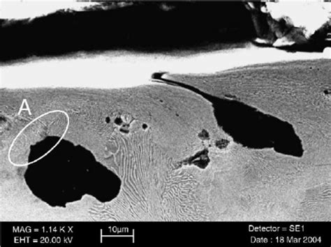 Different Behaviours Of Nodular Graphite Fines Built In Below The Download Scientific Diagram