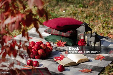 가 따뜻한 일입니다 인도 여름입니다 담요와가 단풍 배경 회색 와인 색과 녹색 색상의 베개정원에서 피크닉 가을에 대한 스톡 사진 및 기타 이미지 Istock