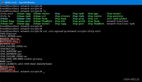 【云计算 Openstack】kvm虚机通过dhcp自动获取地址kvm Dhcp Csdn博客