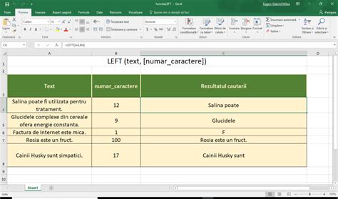 Excel Functii Text Functia Left Cursuri Excel