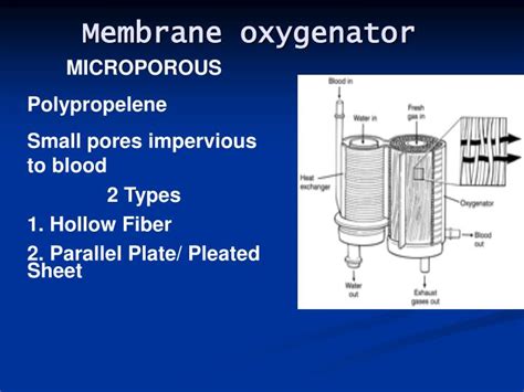 What Are Membrane Oxygenator At Georgia Lucas Blog