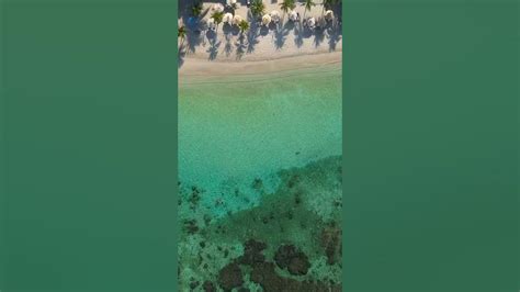 Java Facts Codecommunity Codelikeapro Codingtips Github Keeplearning Patiencepaysoff