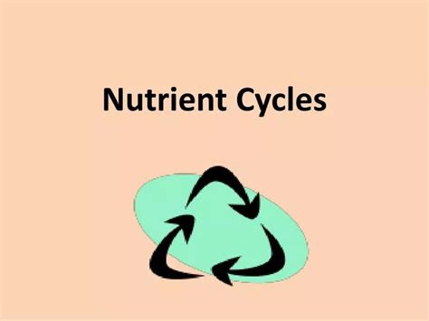 PPT Nutrient Cycles PowerPoint Presentation Free Download ID