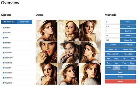 Viewerjs首页、文档和下载 Jquery 图像浏览插件 Oschina 中文开源技术交流社区